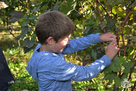 საქართველოს განათლების მეცნიერებისა და ახალგაზრდობის სამინისტრო ხელოვნების სასახლე