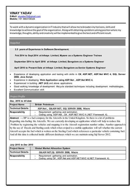 Aspnet Profile Vinay Docx Web Development Internet