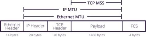 Get Answer Tcp Mss Ip Mtu Ethernet Mtu Tcp Header 20 Bytes Ip Header Payload Transtutors