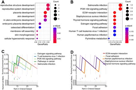 A Circadian Rhythm Related Biomarker For Predicting Prognosis And Immunotherapy Efficacy In Lung