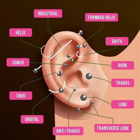 Ear Piercing Chart 27 Different Types To Inspire Your Next Look Ear