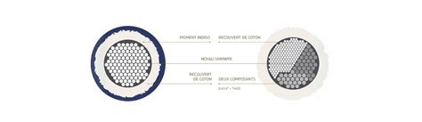 Armalith® And Triumph For The Ride