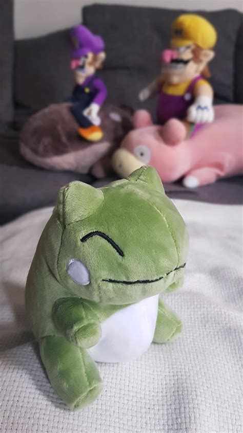 I Was Promised A Pokeplush For My Bday But I Feel Like I Got Tricked R Pokeplush