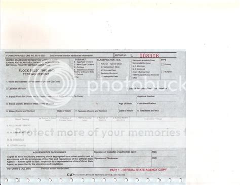 Npip Certification In New York Backyard Chickens Learn How To Raise