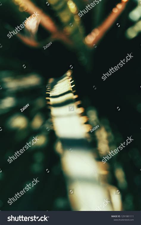 Jaggy Edge Images Stock Photos Vectors Shutterstock