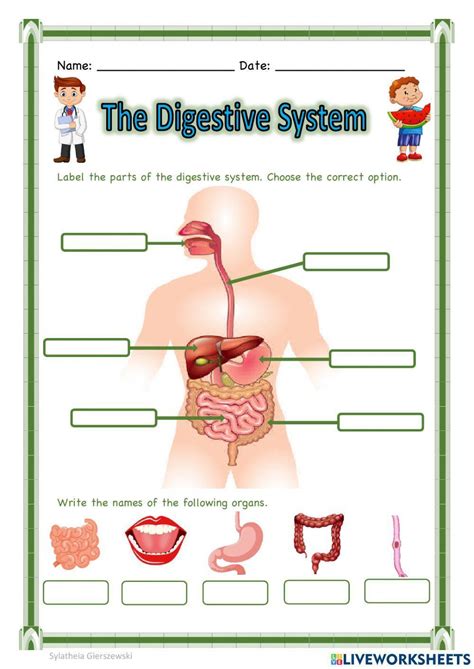 The Digestive System Science Worksheet Live Worksheets Worksheets