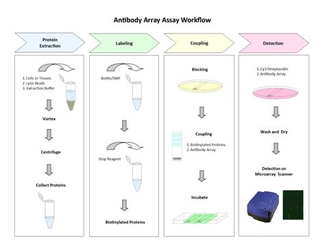 Inflammation Antibody Array Full Moon Biosystems