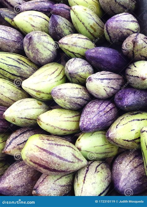 Sweet Cucumber Or Pear Melon Solanum Muricatum Royalty Free Stock