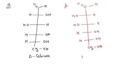 Mannose Vs Glucose