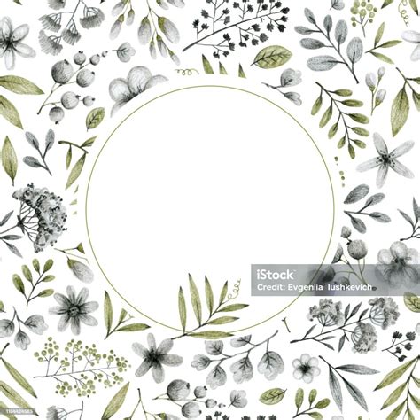 녹색과 회색 나뭇잎 나뭇가지와 꽃 연필 그림에 자유형 그리기 초대 결혼식의 디자인 및 로고프레임 템플릿 배경 0명에 대한 스톡 벡터 아트 및 기타 이미지 Istock