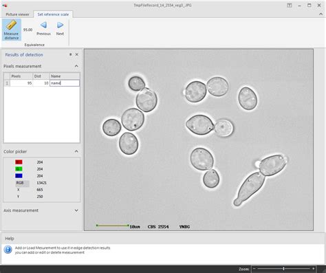 Set Reference Scale Step
