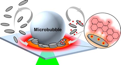 Publications Zheng Research Group