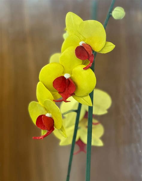 Instructor Pelech Marc Adams School Of Woodworking