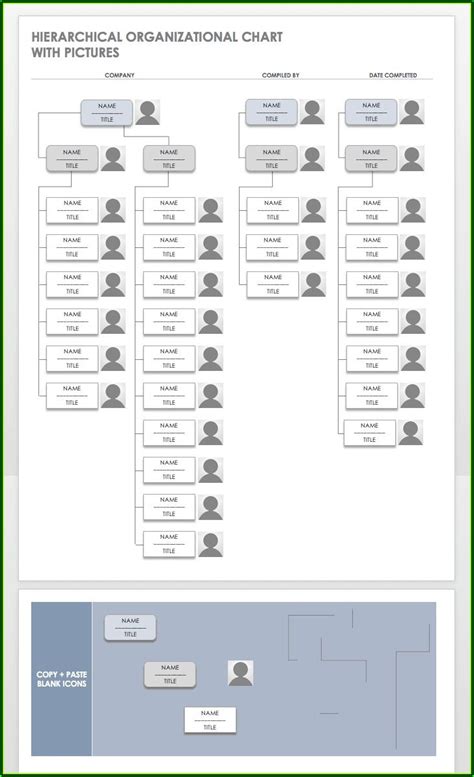 Free Org Chart Templates Word Template Resume Examples Wk YP D