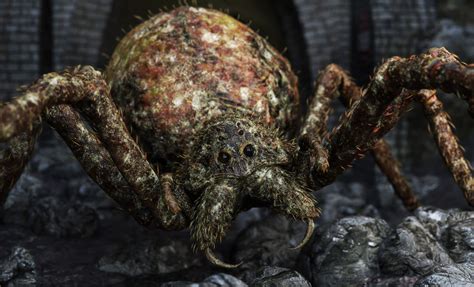 You Think Spiders Are Scary Wait Until You See Whats Hiding Inside Them