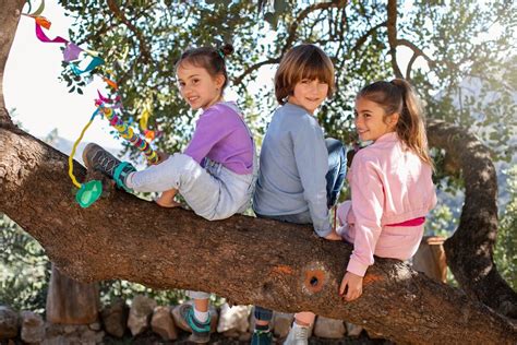 Niños Divirtiéndose En El Campamento De Verano Foto Gratis