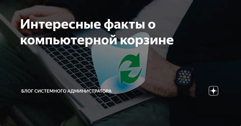 Интересные факты о компьютерной корзине Блог системного администратора Дзен