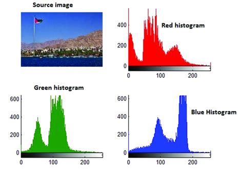 Sample Output Image 6 Download Scientific Diagram