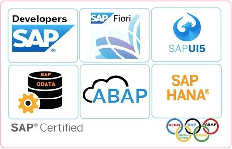 Do Sap Abap Fiori Ui5 Odata Development Work By Dkumar31 Fiverr