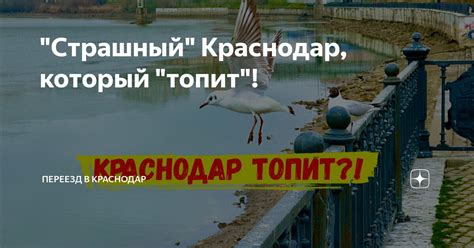 Страшный Краснодар который топит Переезд в Краснодар Дзен