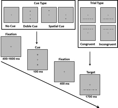 The Alerting And Orienting Systems Of Attention Are Modified By Cannabis Dependence Journal Of