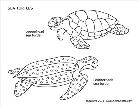 Sea Turtles Free Printable Templates And Coloring Pages