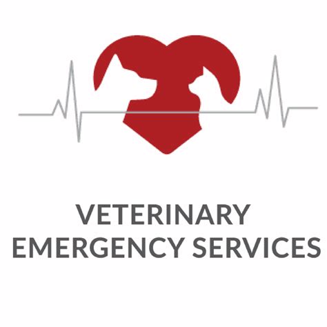 Emergency Vet Services In Verona Va 24482 Ves