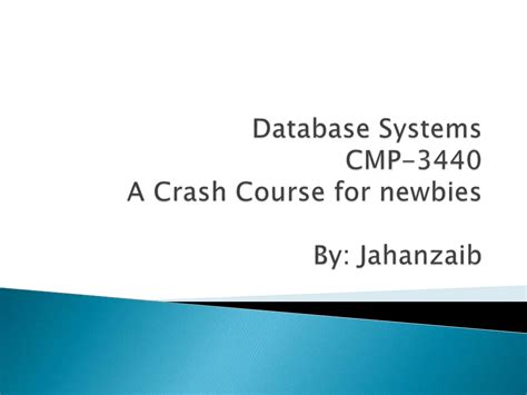 Detailed Overview On Database And Database System Ppt