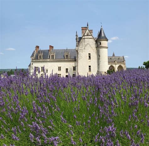 연말추천 이색투어 프랑스 루아르지역 고성투어앙부아즈성쉬농소성샹보르외관만 줌줌투어 프랑스 파리