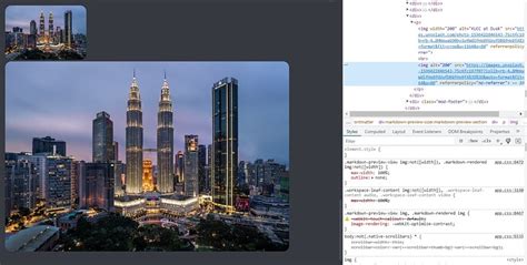 Web Image Embed Resize Using Alt Text Not Working In Reading View