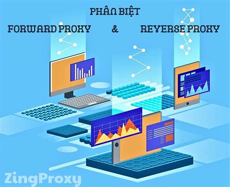forward proxy và reverse proxy là gì loại nào tốt hơn