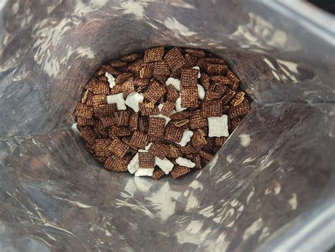 첵스초코 특징 유머 움짤 이슈 에펨코리아