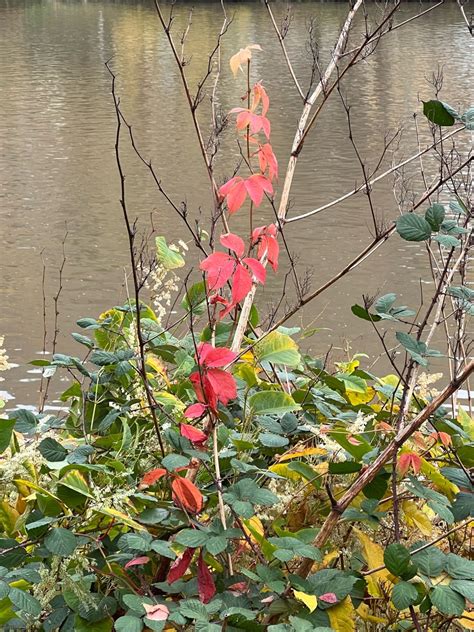 Zubin Nur Westrik On Linkedin The World Offers Us So Much Beauty So