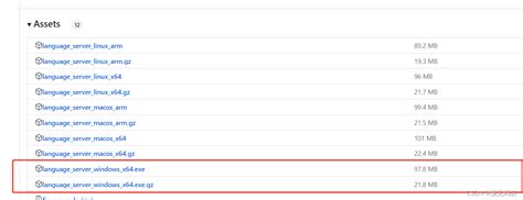 关于windewsubuntu的idea上codeium：failed To Download Language Service