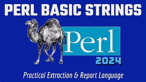 Perl Programming Basics Getting Started Beginners Guide Working With