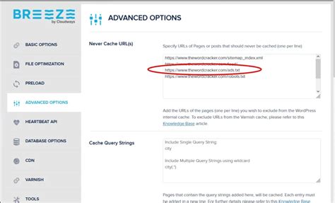 How To Fix Ads Txt Not Found Error On Cloudways WordPress Information Center