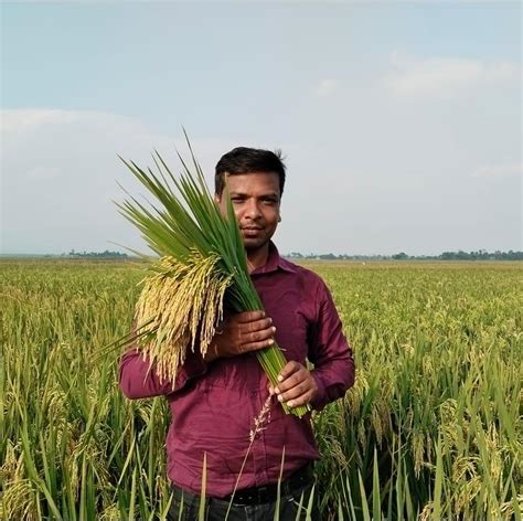 কৃষি সবচেয়ে বড় পাতা জাতের উদ্ভিদগুলোর মধ্যে একটি হলো ভেন্না গাছ। ভেন্না বিনা চাষেই বর্ষাকালে