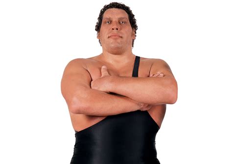 Andre The Giant Size Ft