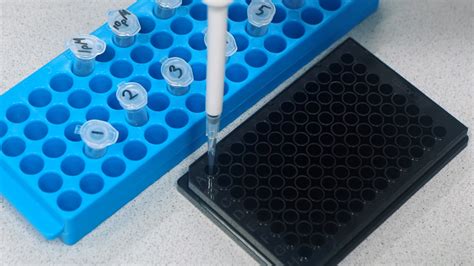 Limit Of Detection Lod Assay To Check The Sensitivity Of Dnazyme