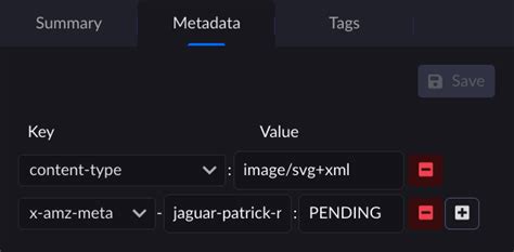View Object Information Metadata And Tags — Artesca 403 Documentation