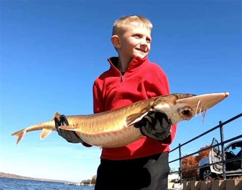 Likely World Record Shovelnose Sturgeon Caught And Released By 8 Year