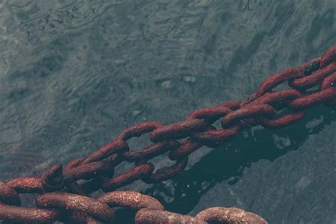 What Is Blockchain Powered Traceability