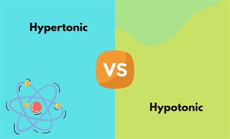 Hypertonic Solution Vs Hypotonic Solution Whats The Difference With