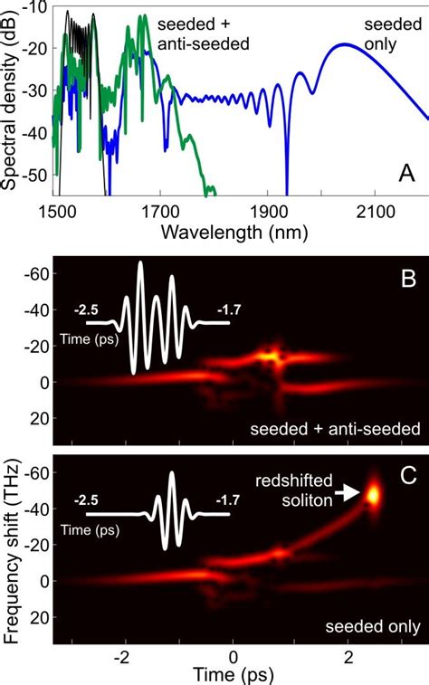 Anti Seeding Of Supercontinuum Generation Instead Of Input Noise A