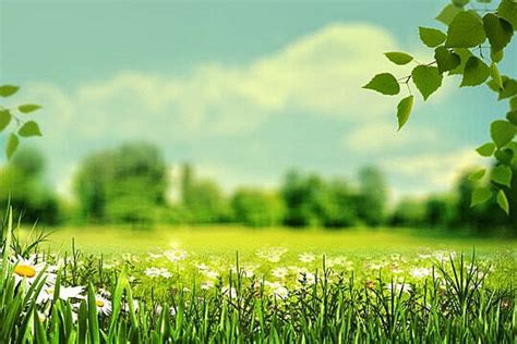 Hello My Name Is Mukilan Wildhub