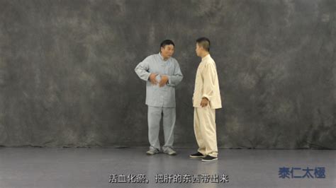 二路 第四十四式 掩手肱捶 洪式太极拳教学与学习 泰仁太极 李强太极顺步探手免费教学官方网站