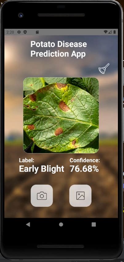 Github Datascientistprofessor Potato Disease Deep Learning Potato Disease Classification Deep
