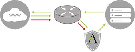 Ddos Protection