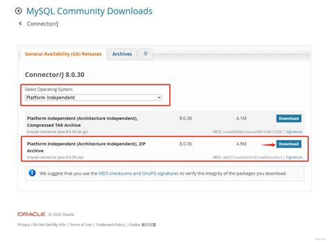 Jdbc下idea添加mysql Jar包的详细过程java脚本之家