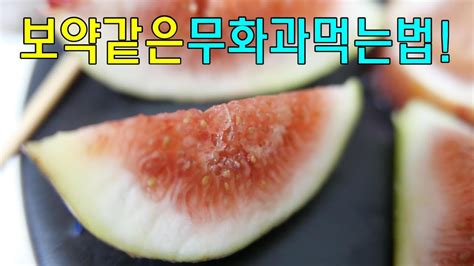 보약같은 무화과 2가지 보관법 무화과 세척 먹는법 효능 Youtube
